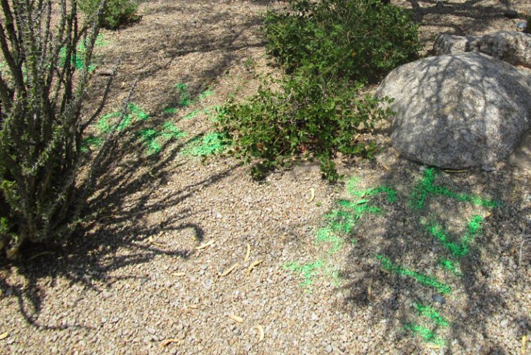 Arizona 811 | Fountain Hills Sanitary District